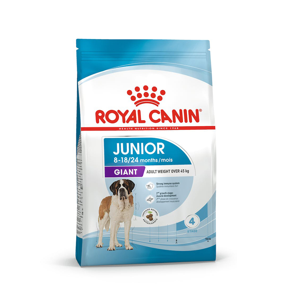 pure pets-Best pets shop in Egypt