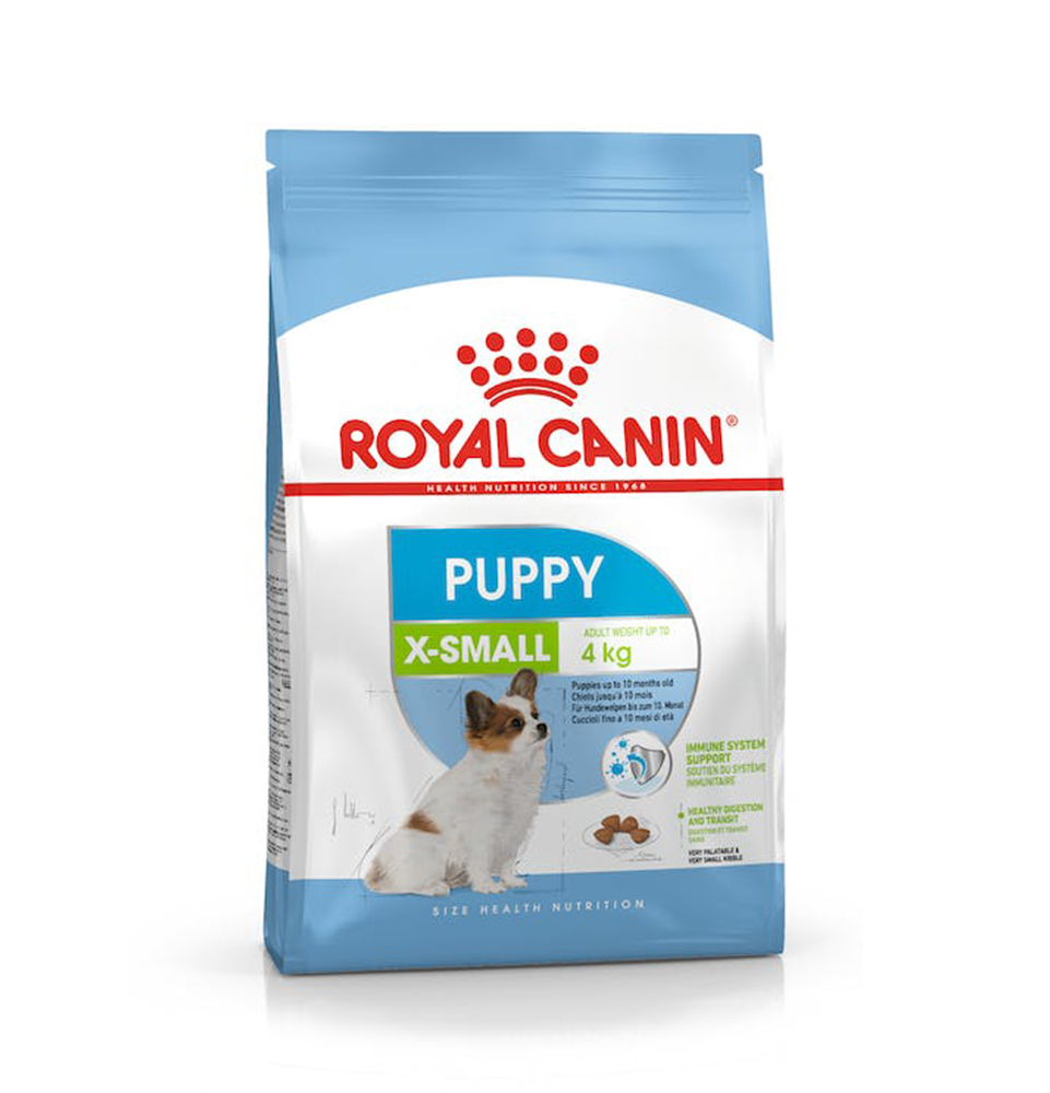 pure pets-Best pets shop in Egypt