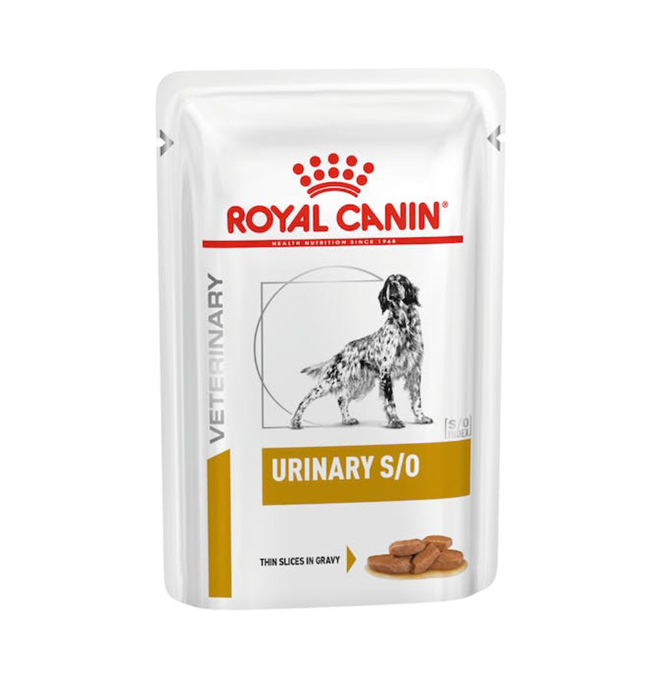 pure pets-Best pets shop in Egypt