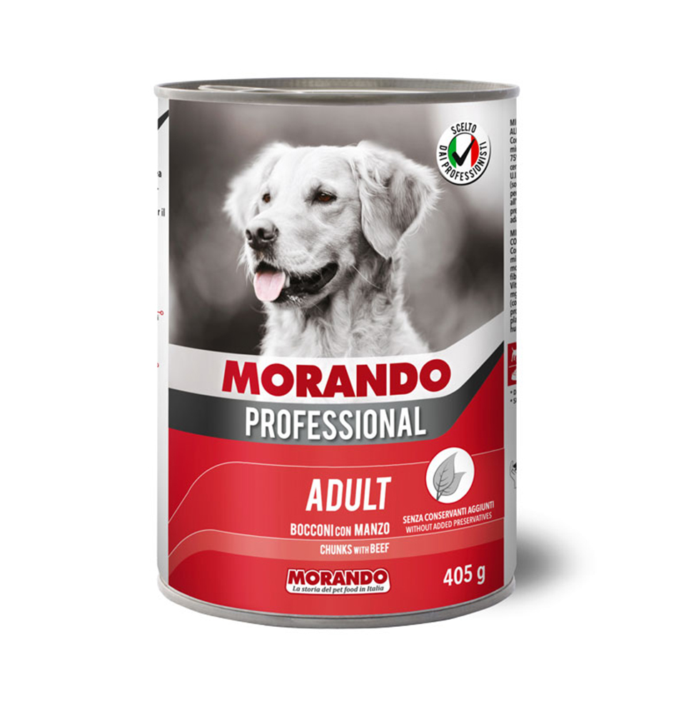 pure pets-Best pets shop in Egypt