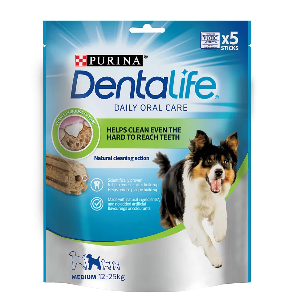 pure pets-Best pets shop in Egypt