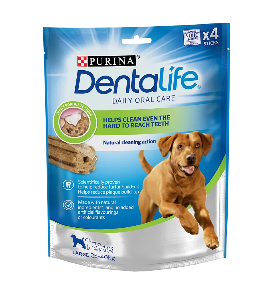 pure pets-Best pets shop in Egypt