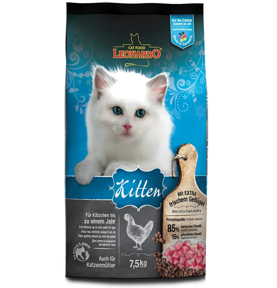 pure pets-Best pets shop in Egypt